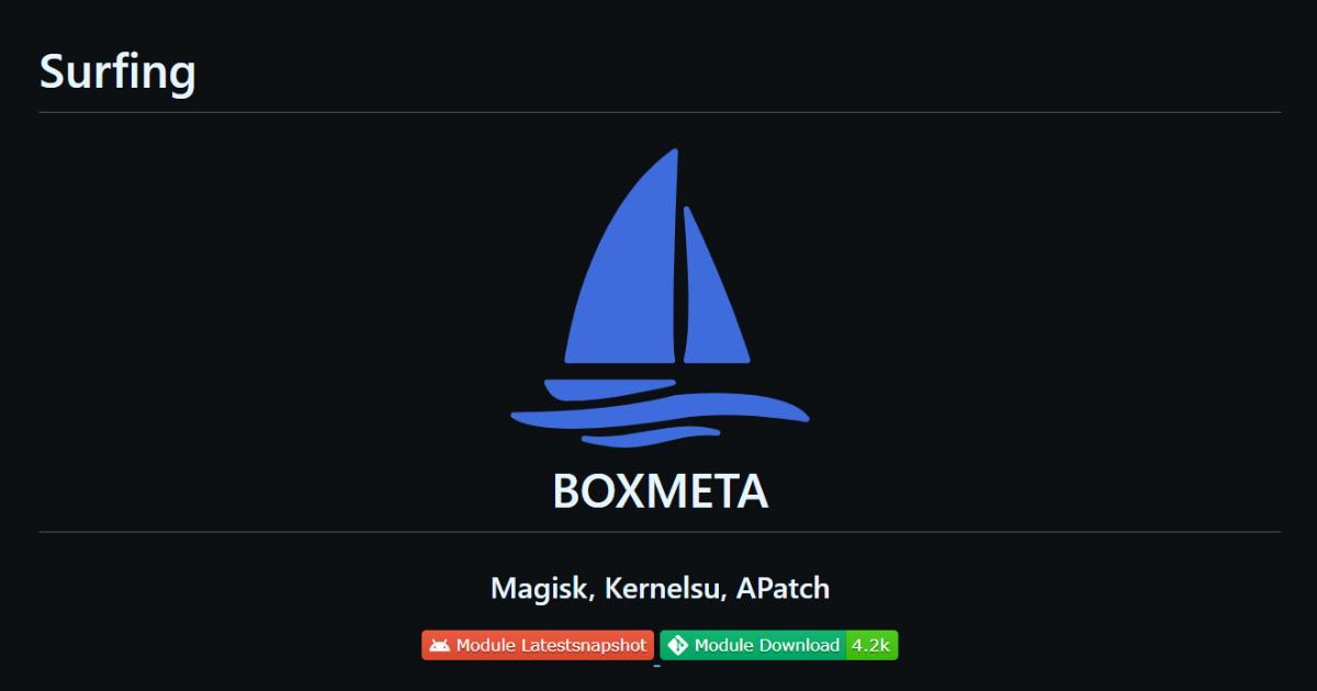 Magisk模块“Surfing”使用教程，实现全局透明代理 | BoJack' Blog